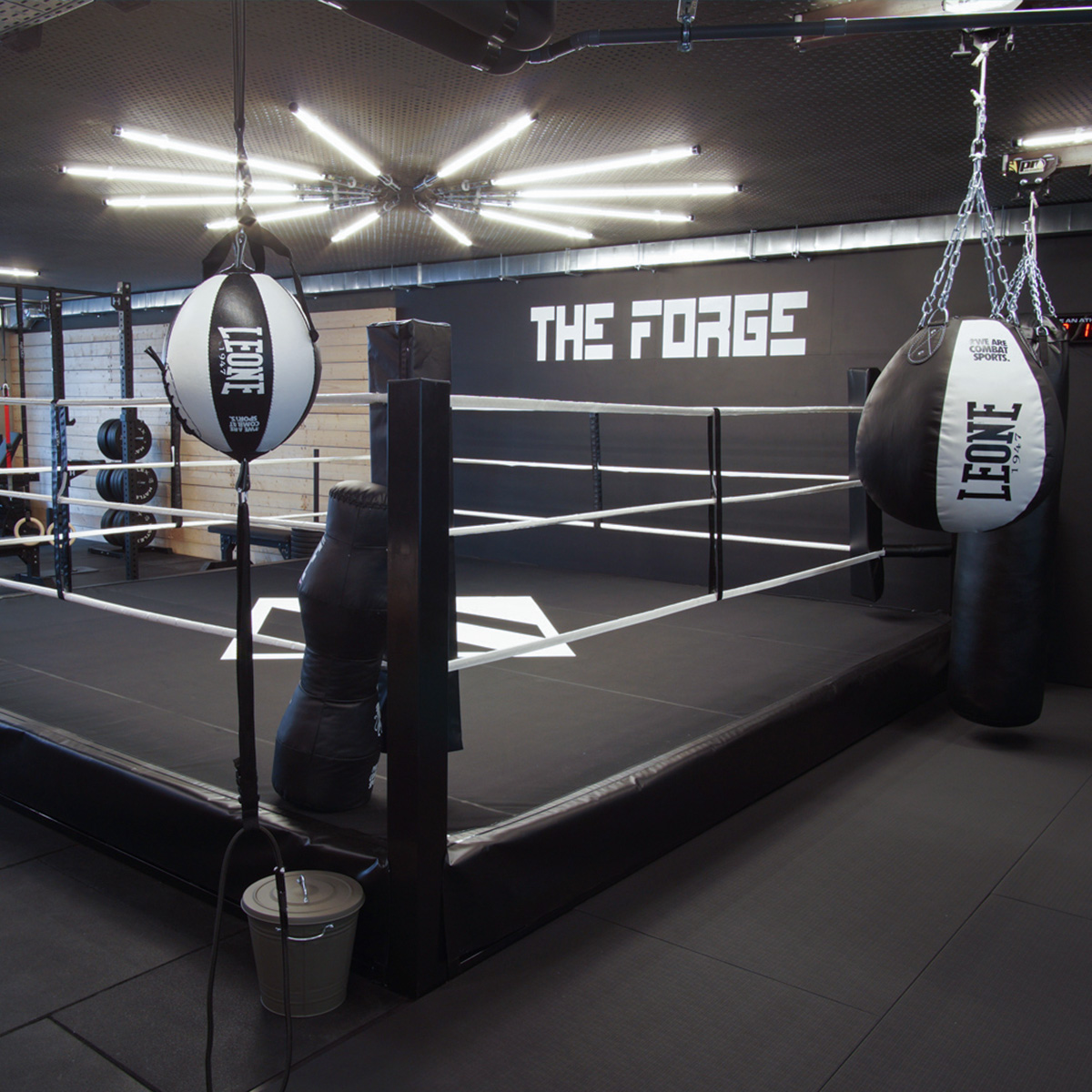 The Forge – Personal Training Lab [Crestron Electronics, Inc.]